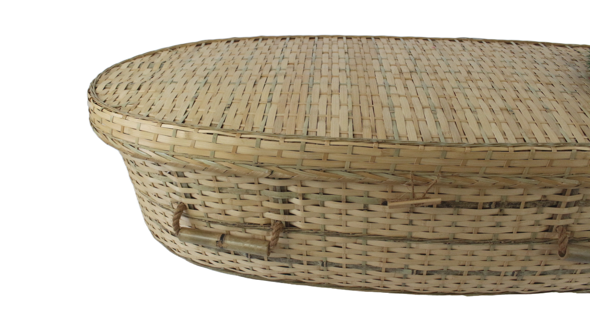 Cheap Wholesale Bamboo Casket Funeral Bier Cremation Coffin – Green ...